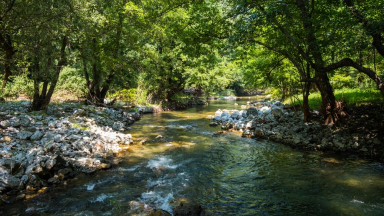 Letnji hit: Najčistija reka u Srbiji, skok s „lijane” i kafa u prirodi ...